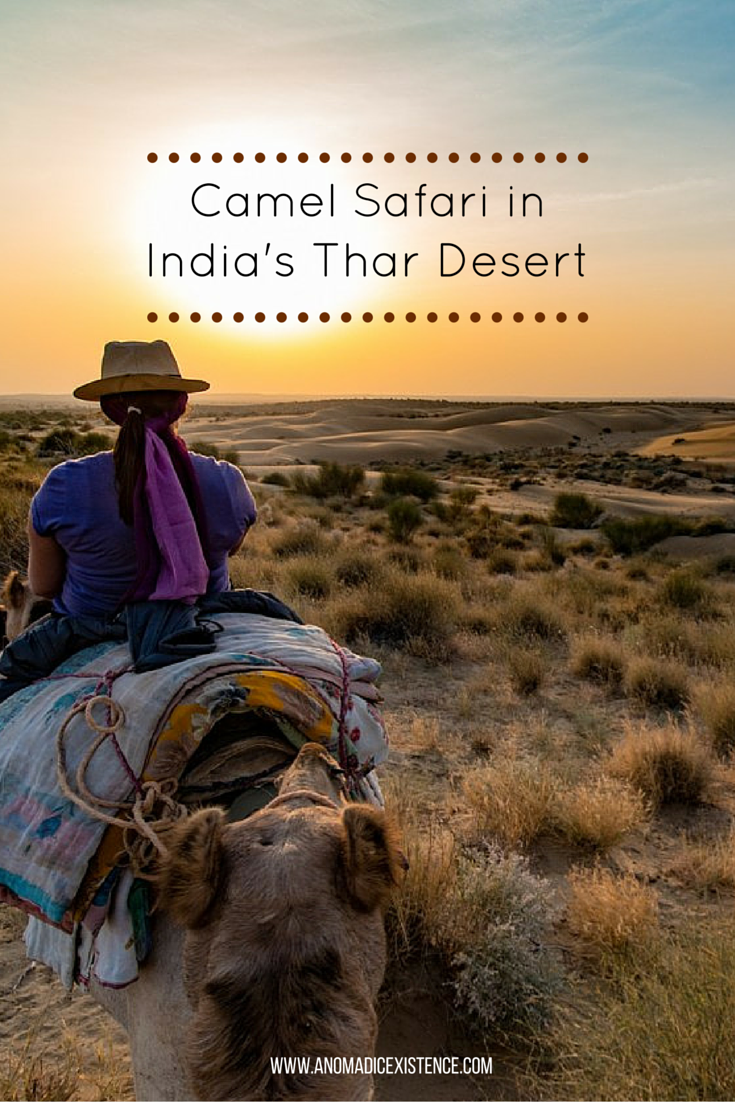 Camel Safari in India's Thar Desert - A Nomadic Existence